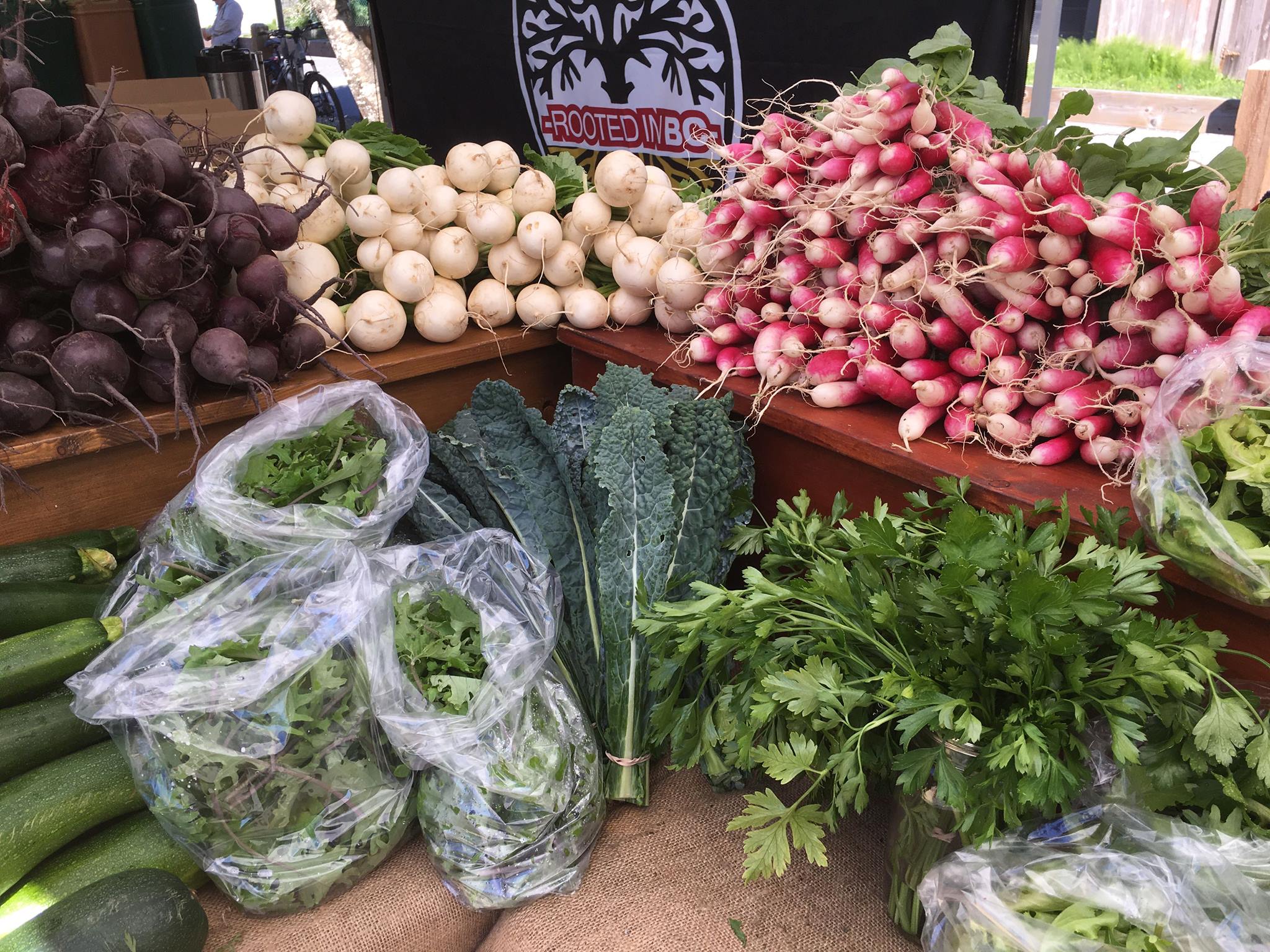 Fresh Roots Growing Food Growing Communities | ILiveInEastVan.com